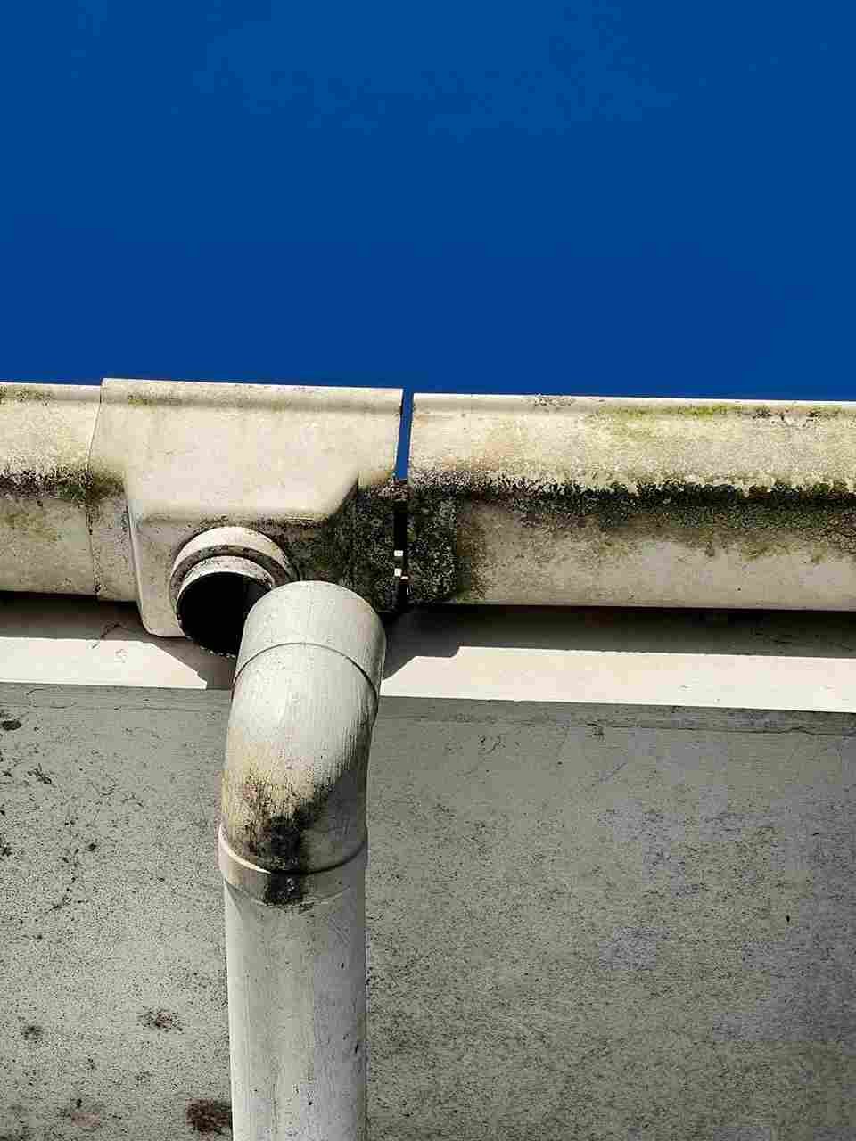 Expert Gutter Repair In Auckland | My Homes Construct Ltd